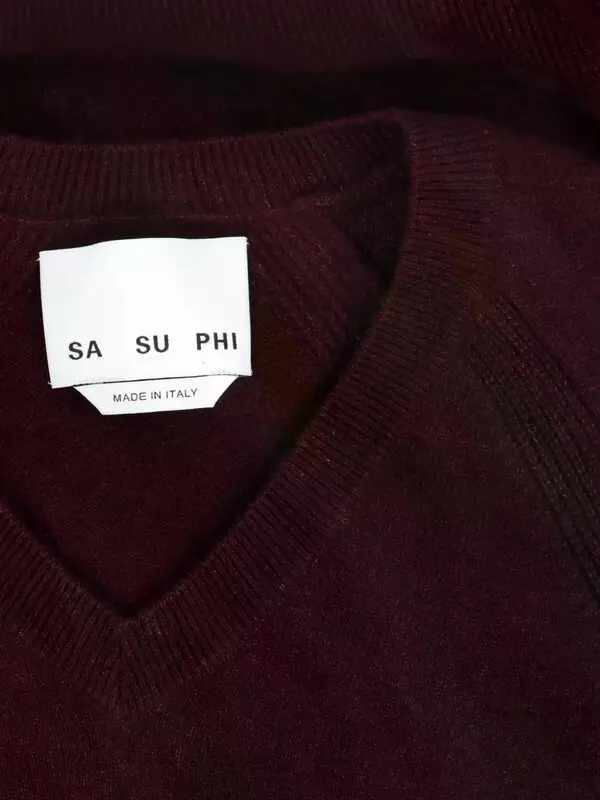 SA SU PHI V-neck Long-sleeve Sweater