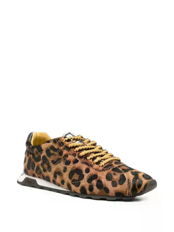 Ash Leopard-print Killbill Sneakers