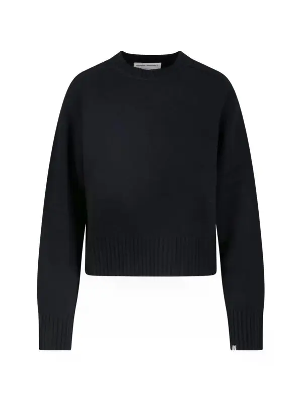 Extreme Cashmere Cashmere Sweater