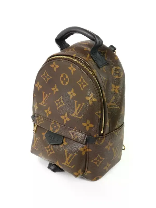 LOUIS VUITTON Mini Palm Springs Monogram Backpack