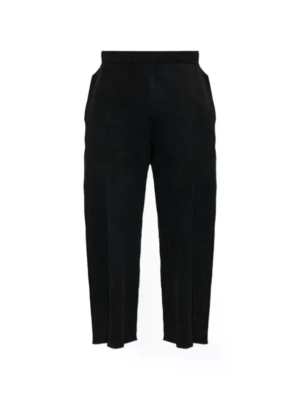 Issey Miyake Pleated Trousers