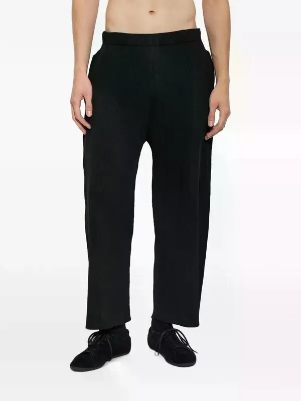 Issey Miyake Pleated Trousers