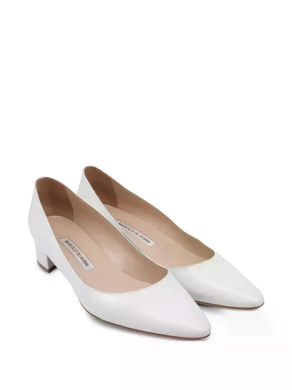 Manolo Blahnik Pointed-toe Pumps