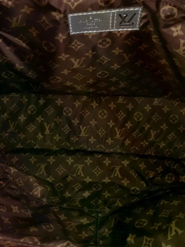 LOUIS VUITTON 2021-2026 Econyl Monogram Pillow Onthego Gm Satchel