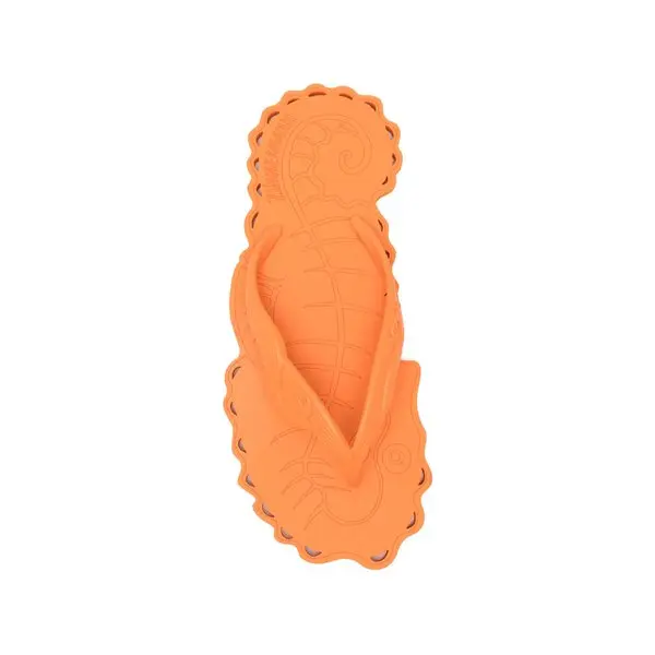 Zimmermann Flip-flops & Slides