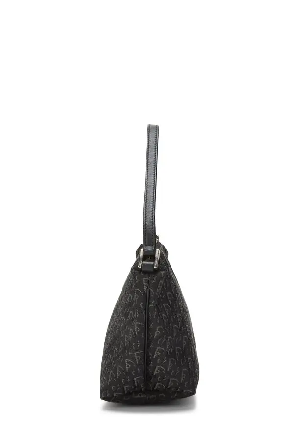 Dior Canvas Trotter Pouch