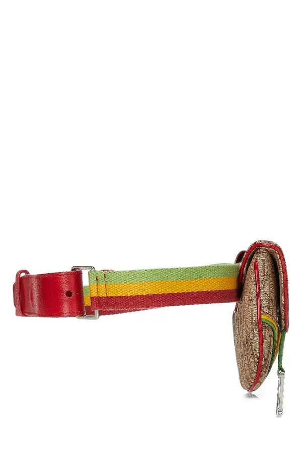 Dior Multicolor Rasta Saddle Belt Bag