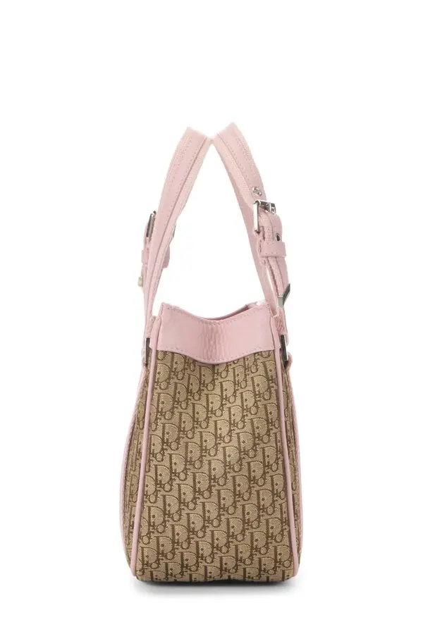 Dior Trotter Canvas Street Chic Handbag