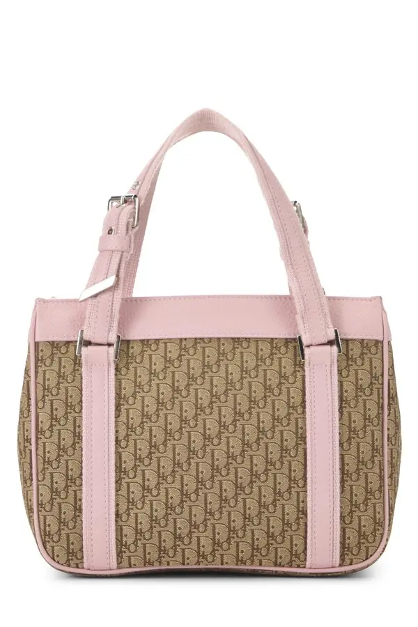 Dior Trotter Canvas Street Chic Handbag