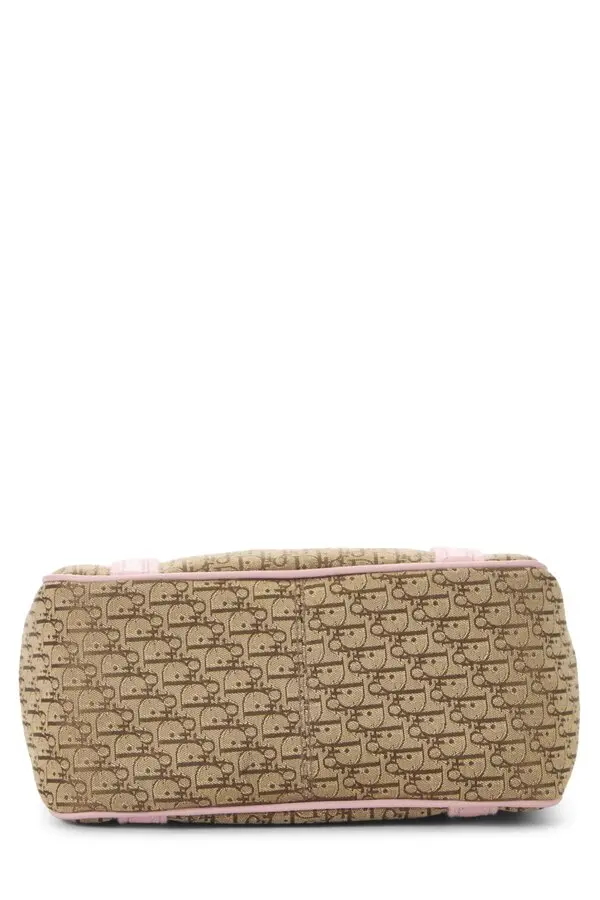 Dior Trotter Canvas Street Chic Handbag