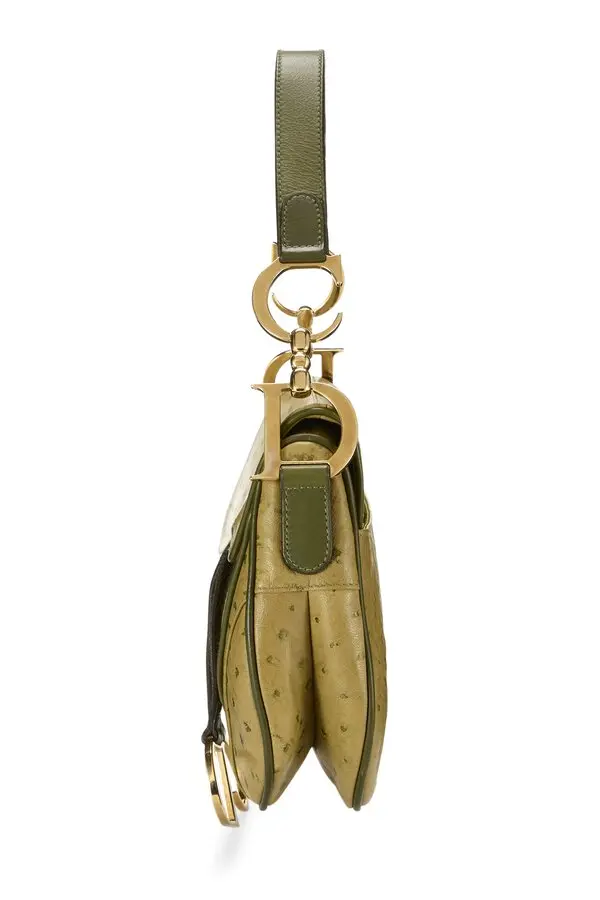 Dior Ostrich Double Saddle Bag - Green