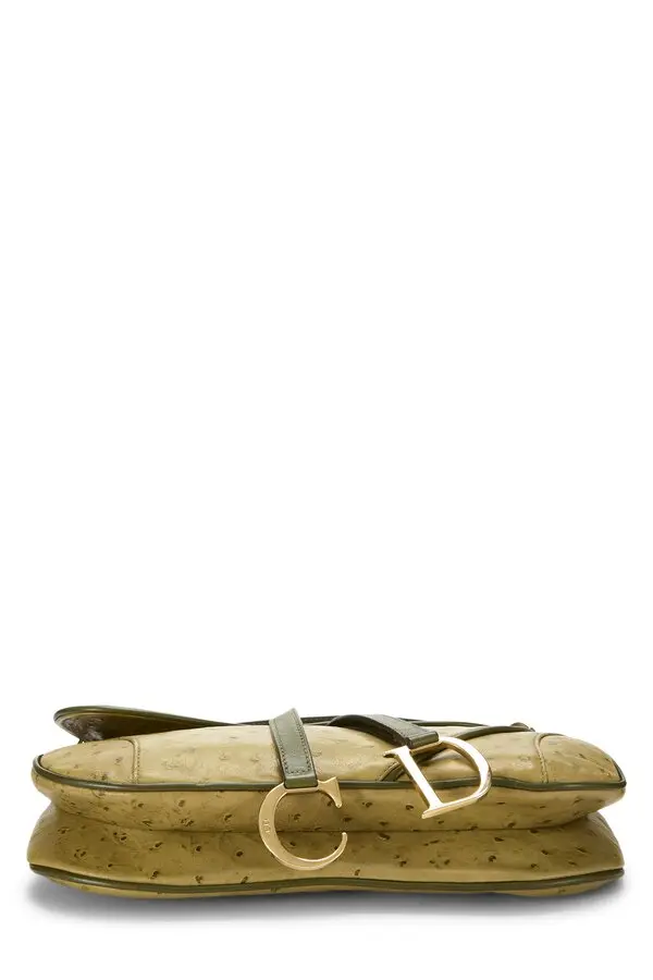 Dior Ostrich Double Saddle Bag - Green