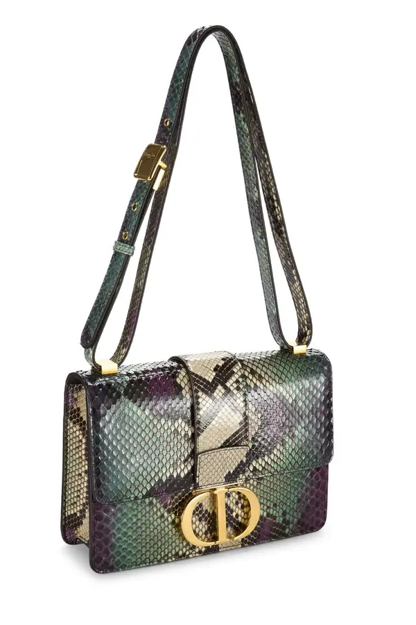 Dior Multicolor Python 30 Montaigne Box Bag