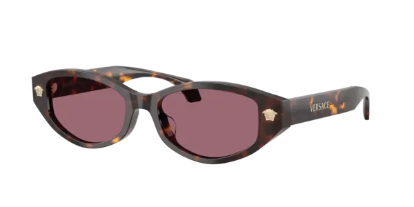 Versace Sunglass Ve4512d - Violet