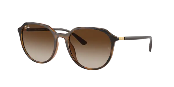 Ray-ban Sunglass Rb4415l - Brown