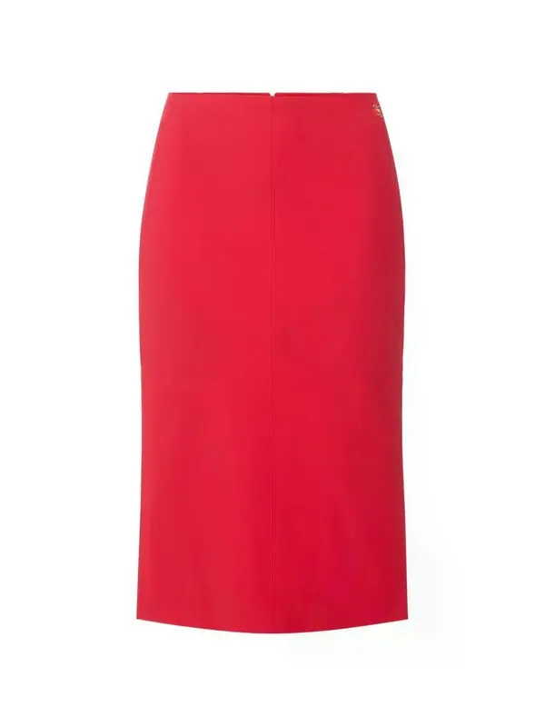 Elisabetta Franchi Skirt Made Of Technical Fabric