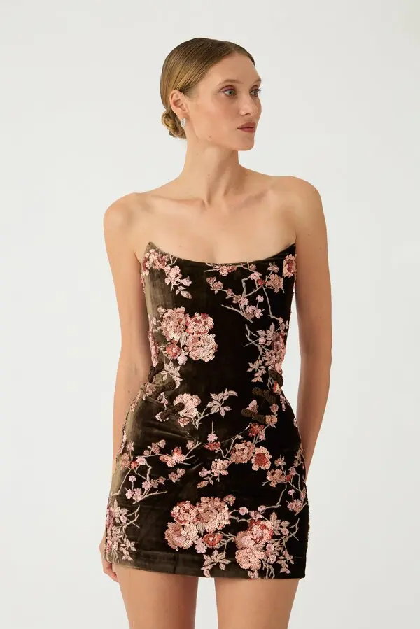 SAU LEE Anna Embroidered Mini Dress