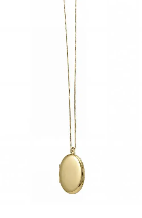 Argento Vivo Stacy 14k Plated Oval Locket Necklace