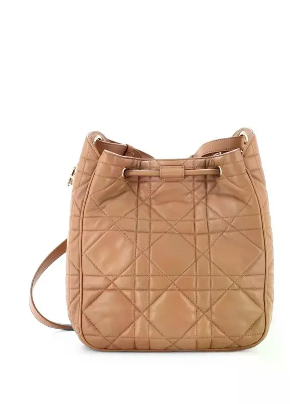 Dior D-motion Bag Cannage Quilted Leather Medium Bucket Bag