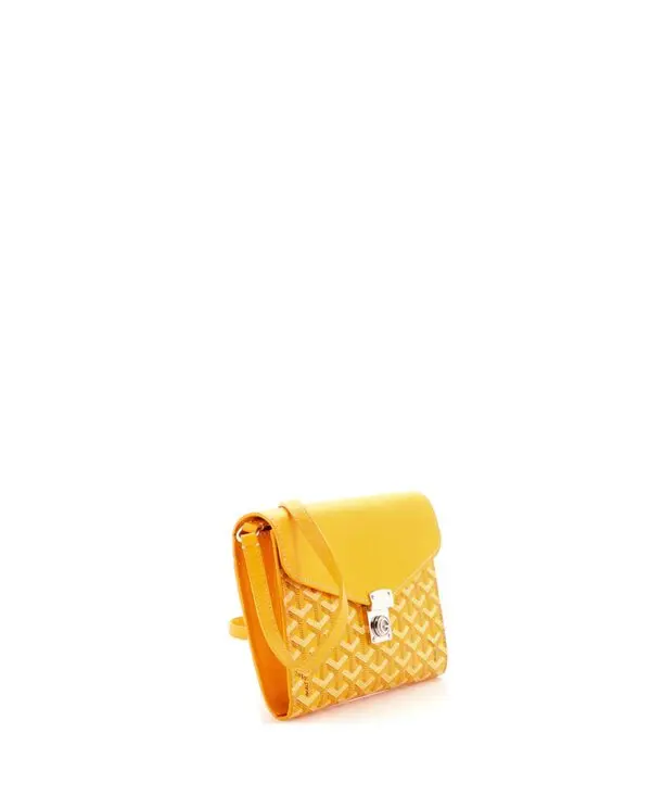 Goyard Chypre Wallet On Strap Coated Canvas With Leather