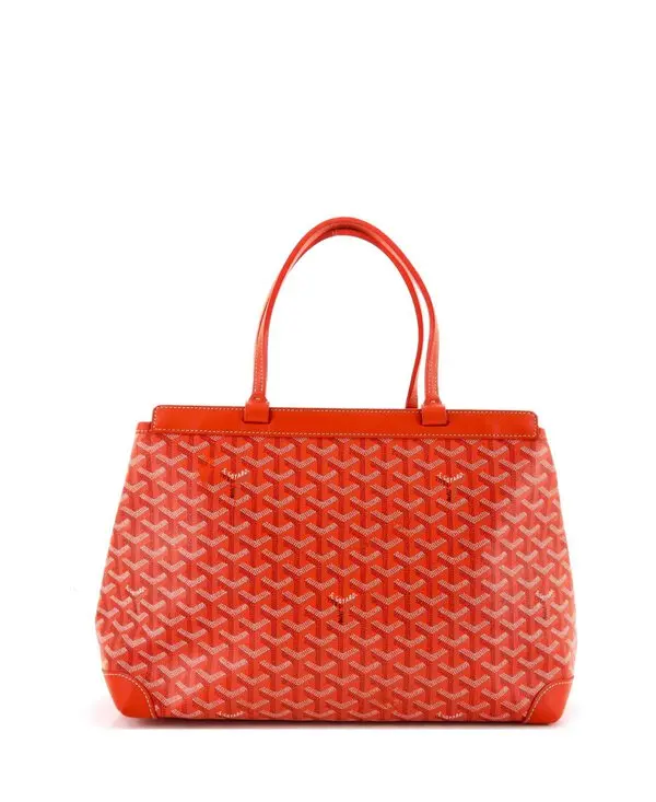 Goyard Pm Bellechasse Bag Coated Canvas