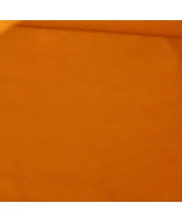 Goyard Pm Anjou Reversible Tote Coated Canvas