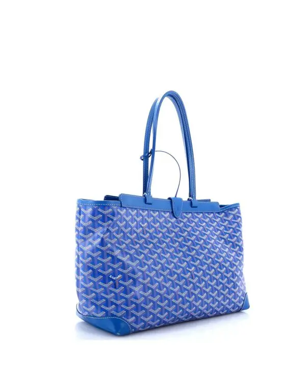 Goyard Pm Bellechasse Bag Coated Canvas