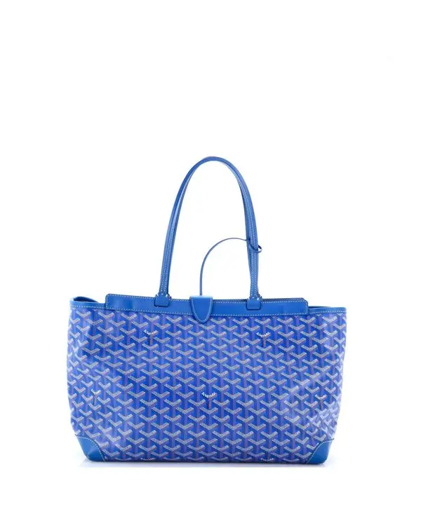 Goyard Pm Bellechasse Bag Coated Canvas