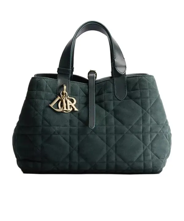 Dior Medium Toujours Bag