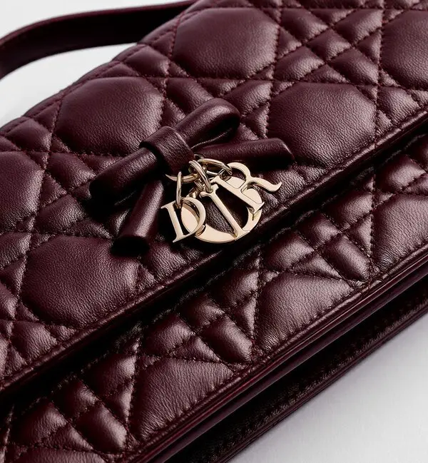 Dior My Mini Bag