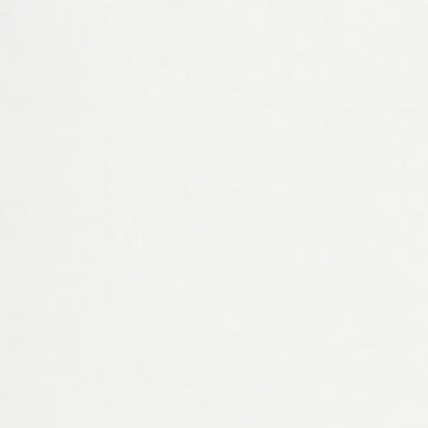 Max Mara Cotton Shirt - White