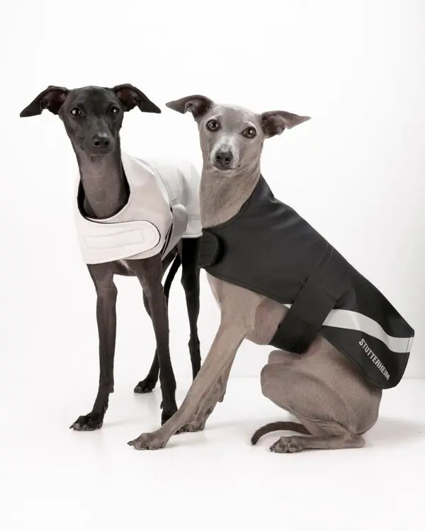 Stutterheim Dog Raincoat - Black