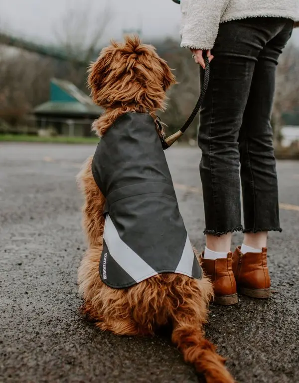 Stutterheim Dog Raincoat - Black