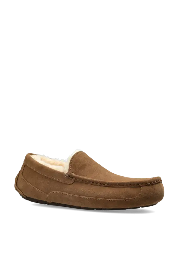 UGG Suede 'ascot' Shoes