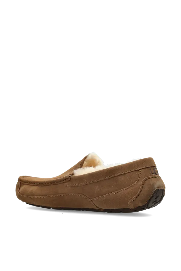 UGG Suede 'ascot' Shoes
