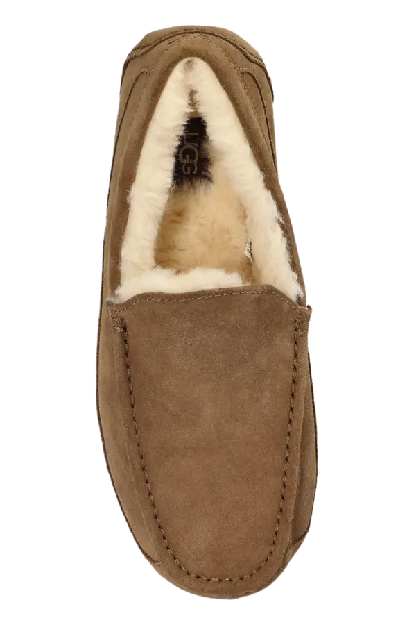 UGG Suede 'ascot' Shoes