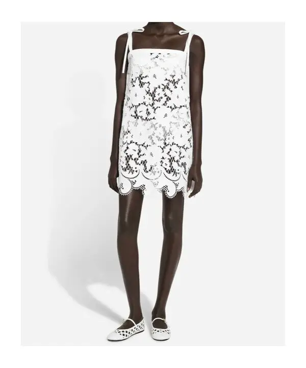 Dolce & Gabbana Dolce Gabbana Floral Openwork Embroidered Mini Dress