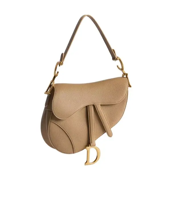 Dior Saddle Bag With Strap - No