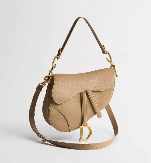 Dior Saddle Bag With Strap - No