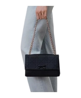 Dior Small Promenade Flap Bag