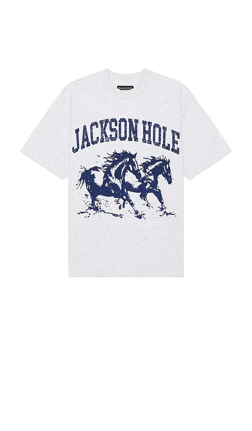 DIAMOND CROSS RANCH Blue Horses Tee In Grey