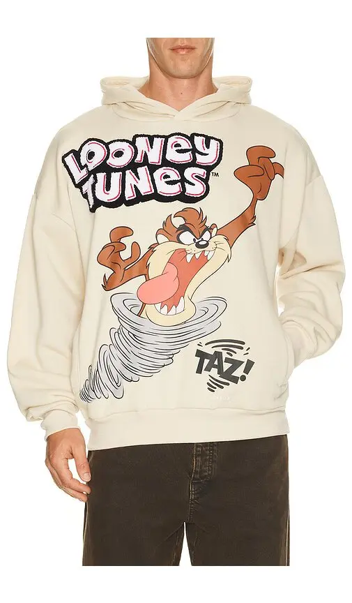 REASON Taz Chenile Patch Po Hoodie In Brown - Khaki