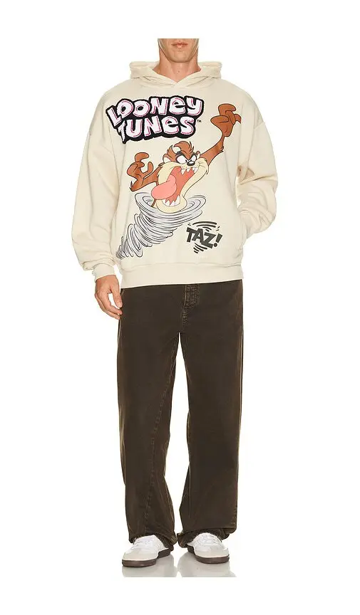 REASON Taz Chenile Patch Po Hoodie In Brown