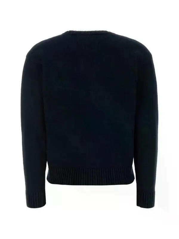 Polo Ralph Lauren Intarsia-knit Vizsla Cotton Sweater