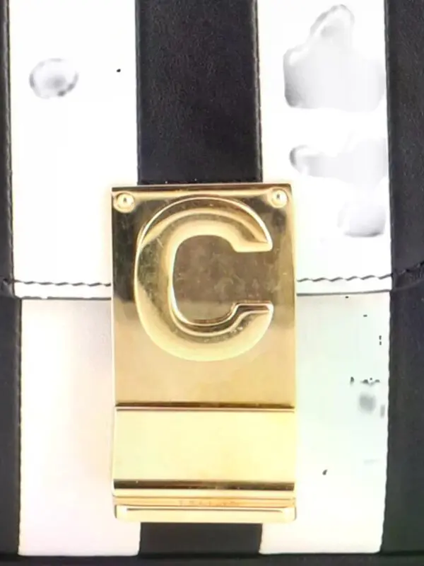 Celine C Bag Printed Leather Small Shoulder Bag