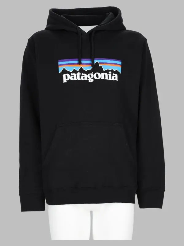 Patagonia Lightweight Logo Sweatshirt