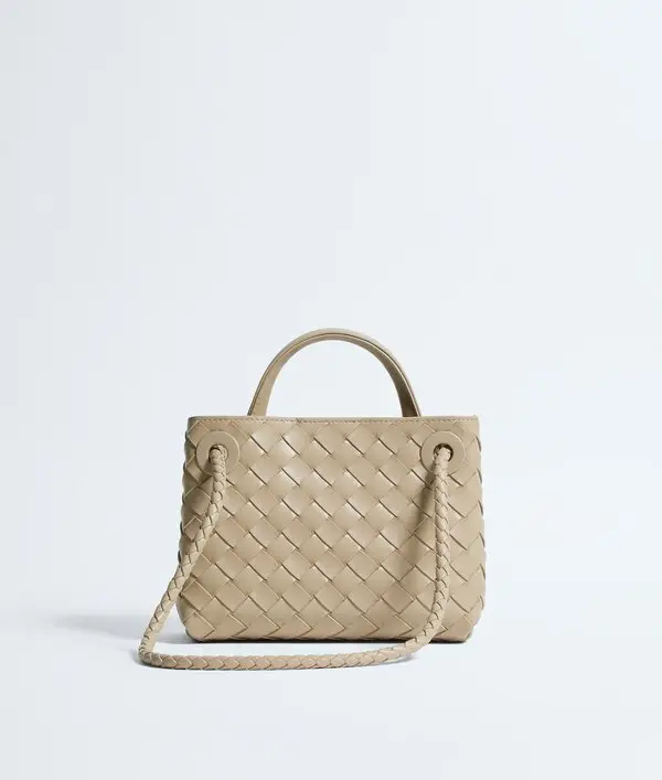 Bottega Veneta Mini Andiamo