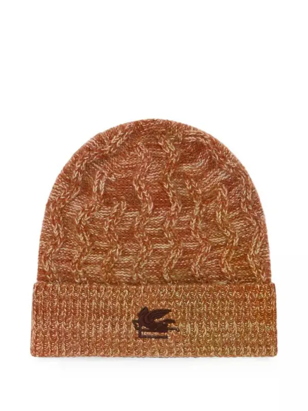 Etro Cashmere Beanie With Cable Detail And Pegaso Embroidery - Brown