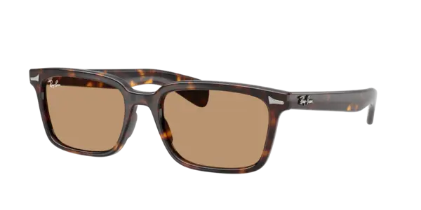 Ray-ban Sunglass Brunel - Brown