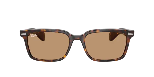Ray-ban Sunglass Brunel - Brown